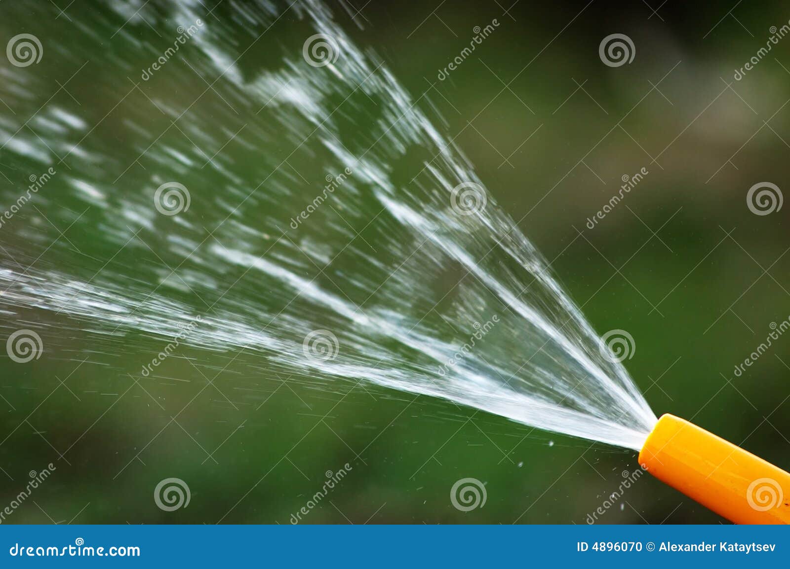 Garden sprinkling stock photo. Image of spray, garden - 4896070
