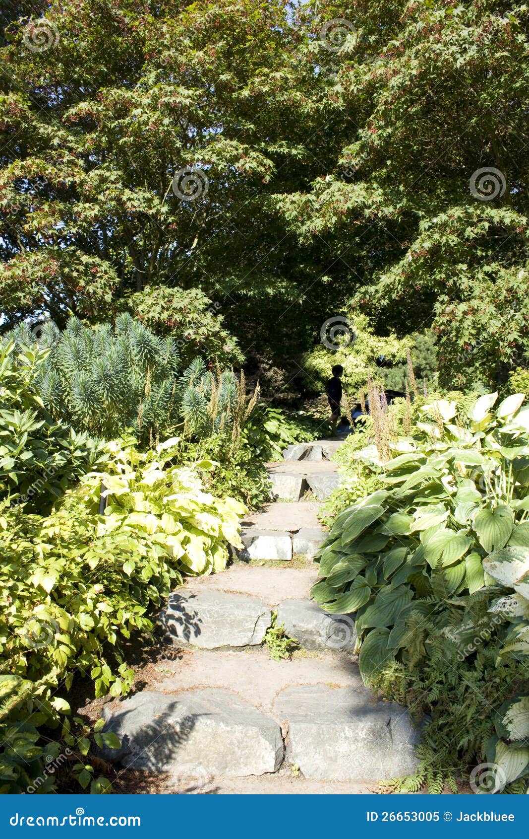 Garden step path stock image. Image of relaxation, front - 26653005