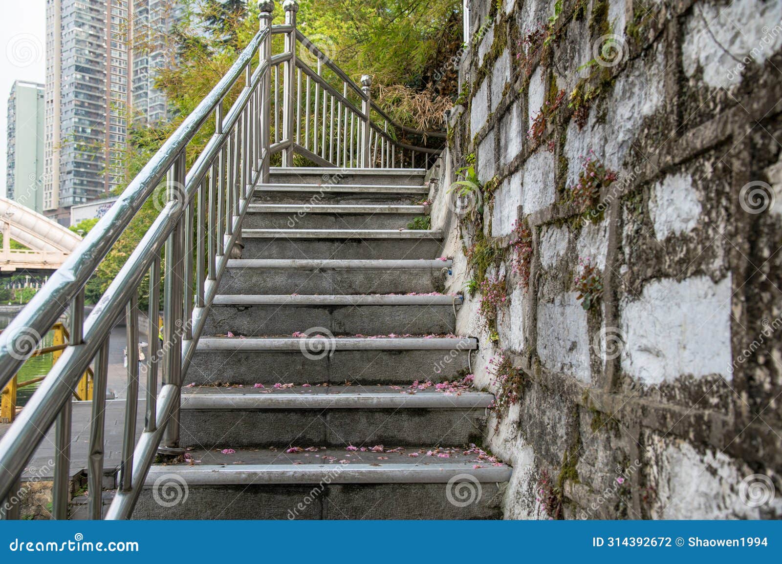 Garden step stairs stock photo. Image of trees, stairs - 314392672