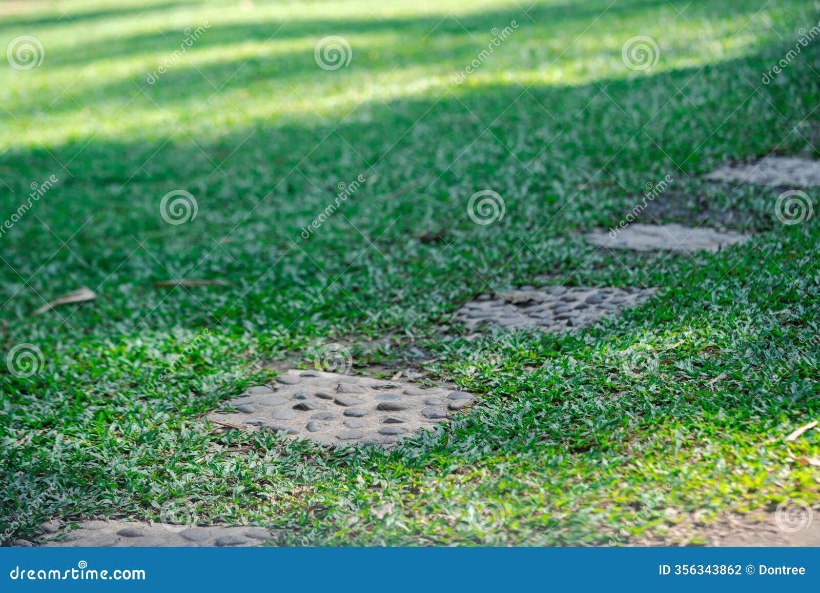 Garden Stepping Stone Path through Green Grass Lawn Stock Photo - Image ...