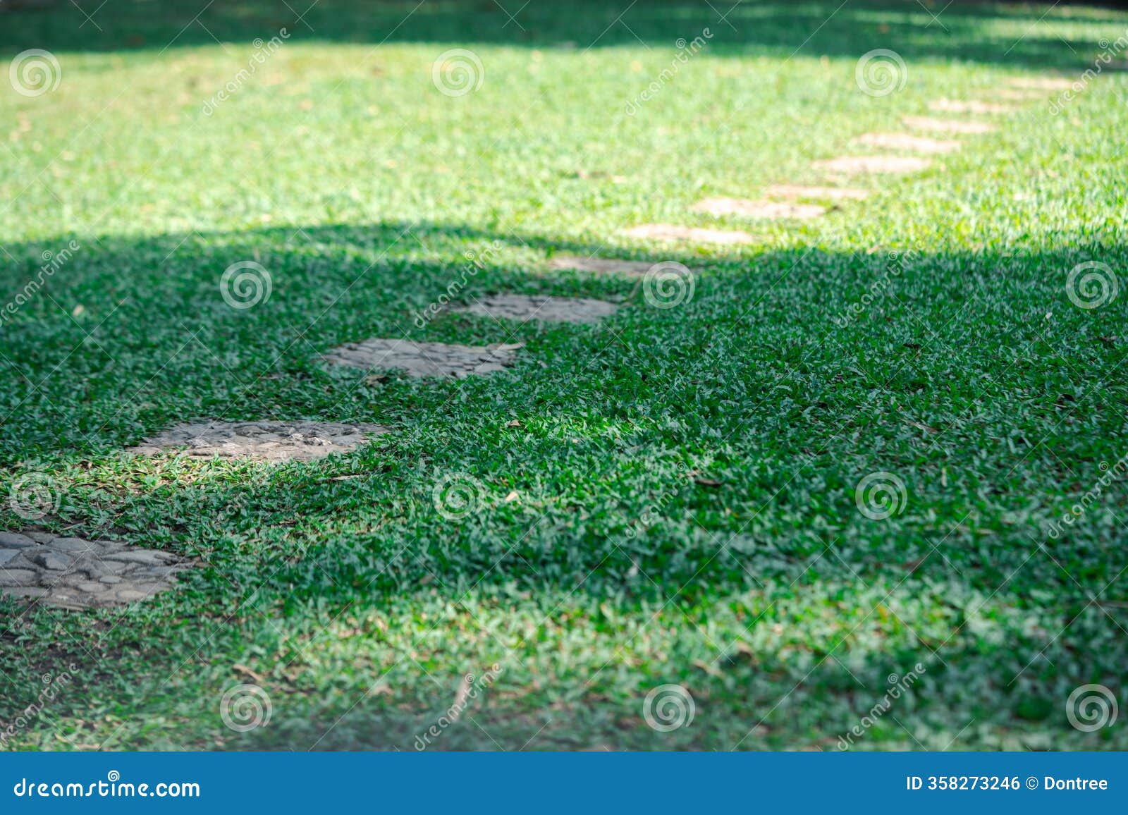 Garden Stepping Stone Path through Green Grass Lawn Stock Photo - Image ...