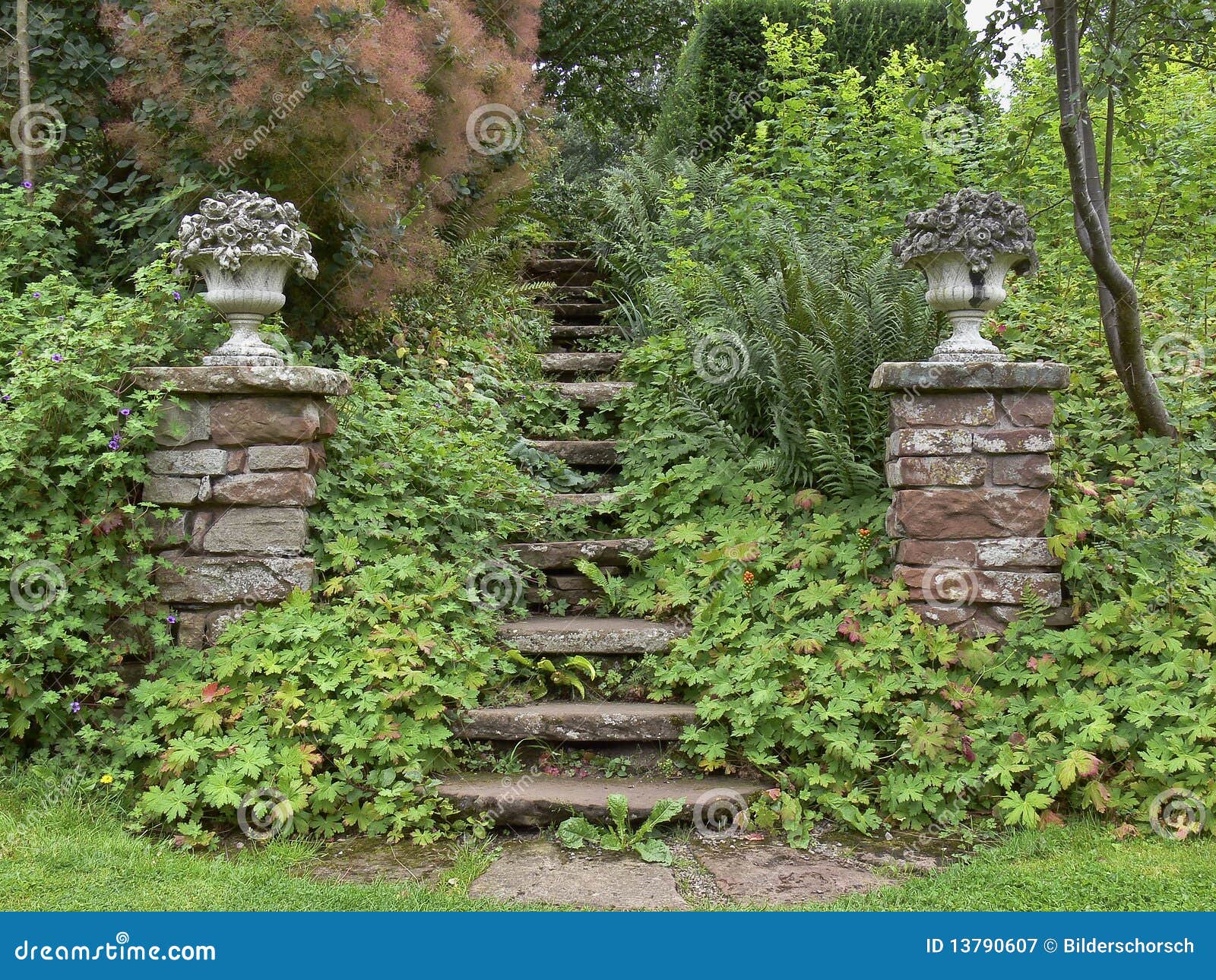 Garden steps stock image. Image of foot, flora, botany - 13790607