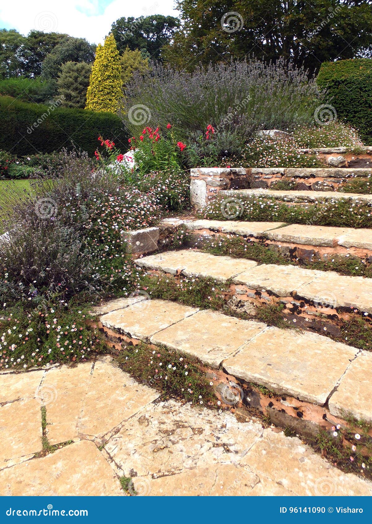Garden Steps stock photo. Image of outdoors, path, hedge - 96141090