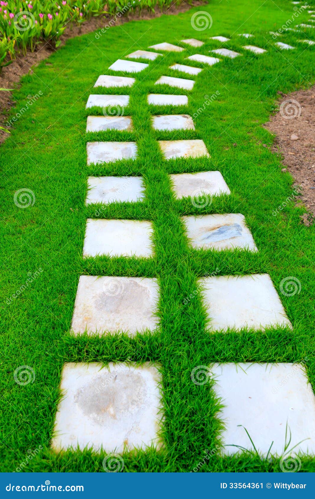Garden Stone Foot Path with Grass Stock Image - Image of green, lane ...
