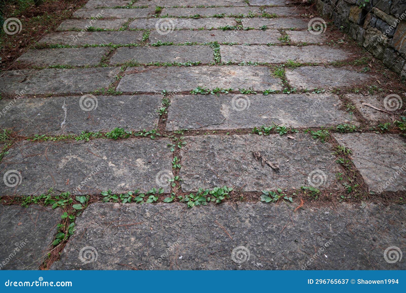 Garden Stone Path.Architecture Stock Image - Image of paths ...