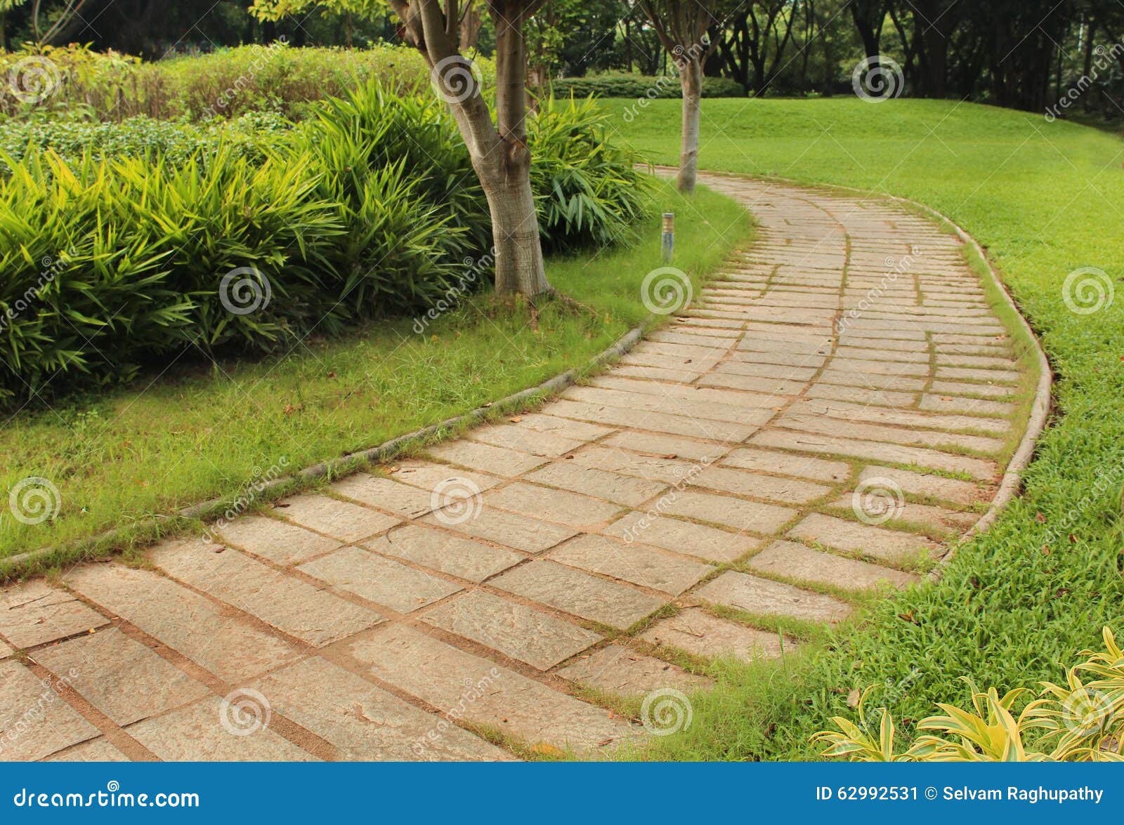 Garden Way Path With Rainwater Drain In Public Park Royalty-Free Stock ...