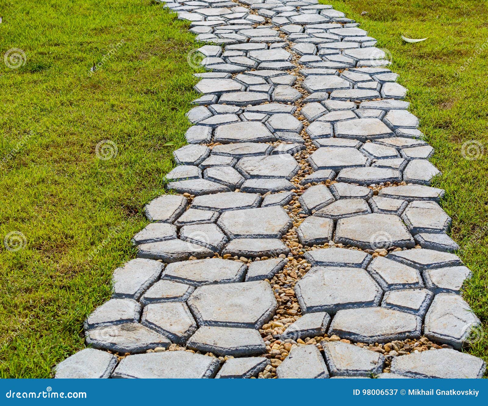 Garden Stone Path with Grass Growing Up between the Stones Stock Image ...