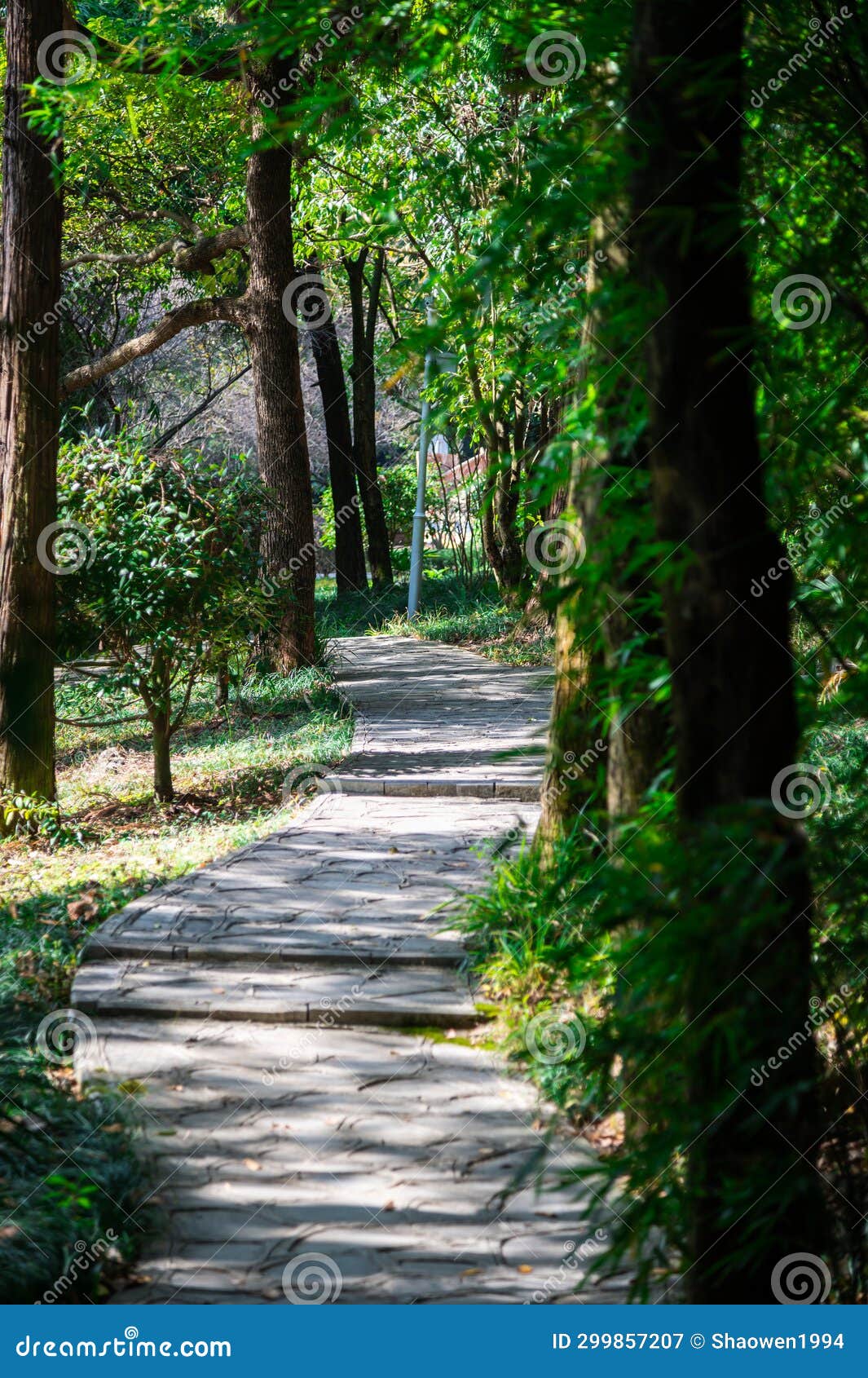 Garden stone path in park stock image. Image of path - 299857207
