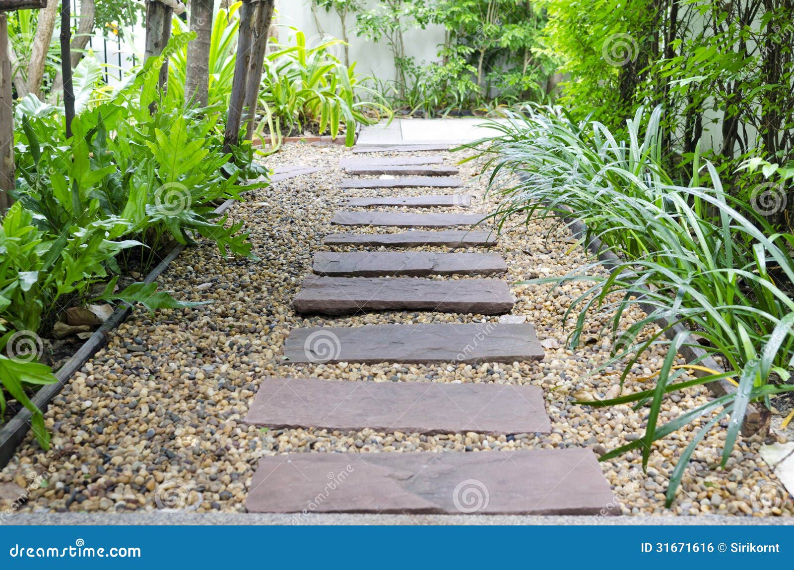 Garden Stone Path stock photo. Image of pave, direct - 31671616