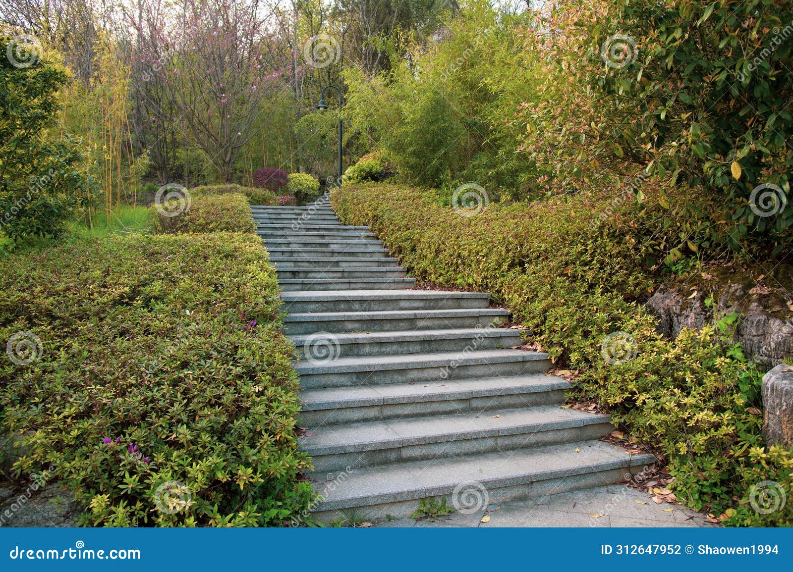 Garden stone step path stock photo. Image of green, trees - 312647952