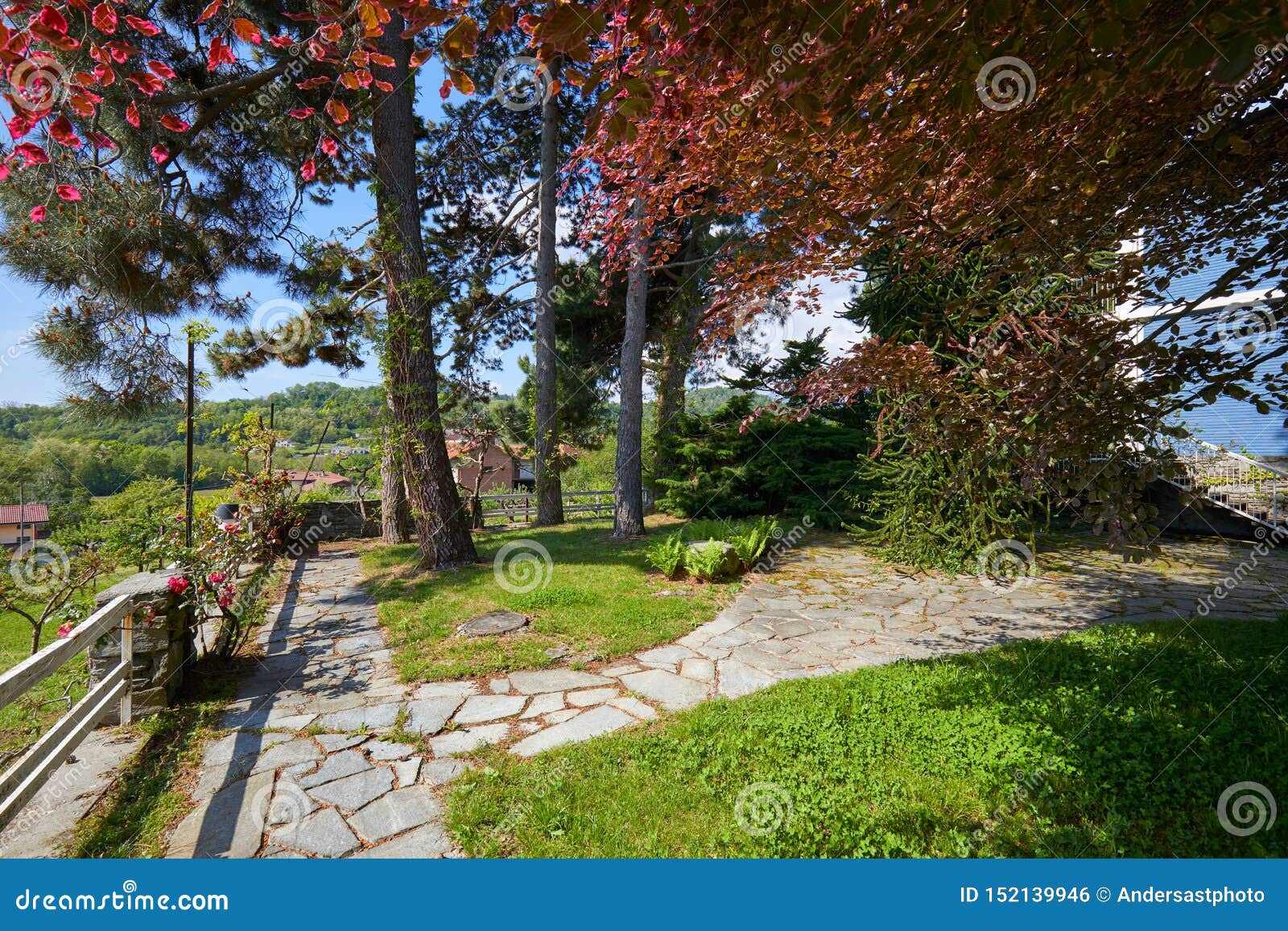 Tiled Path Curve In Park Forest. Bench Resort Area Stock Image ...