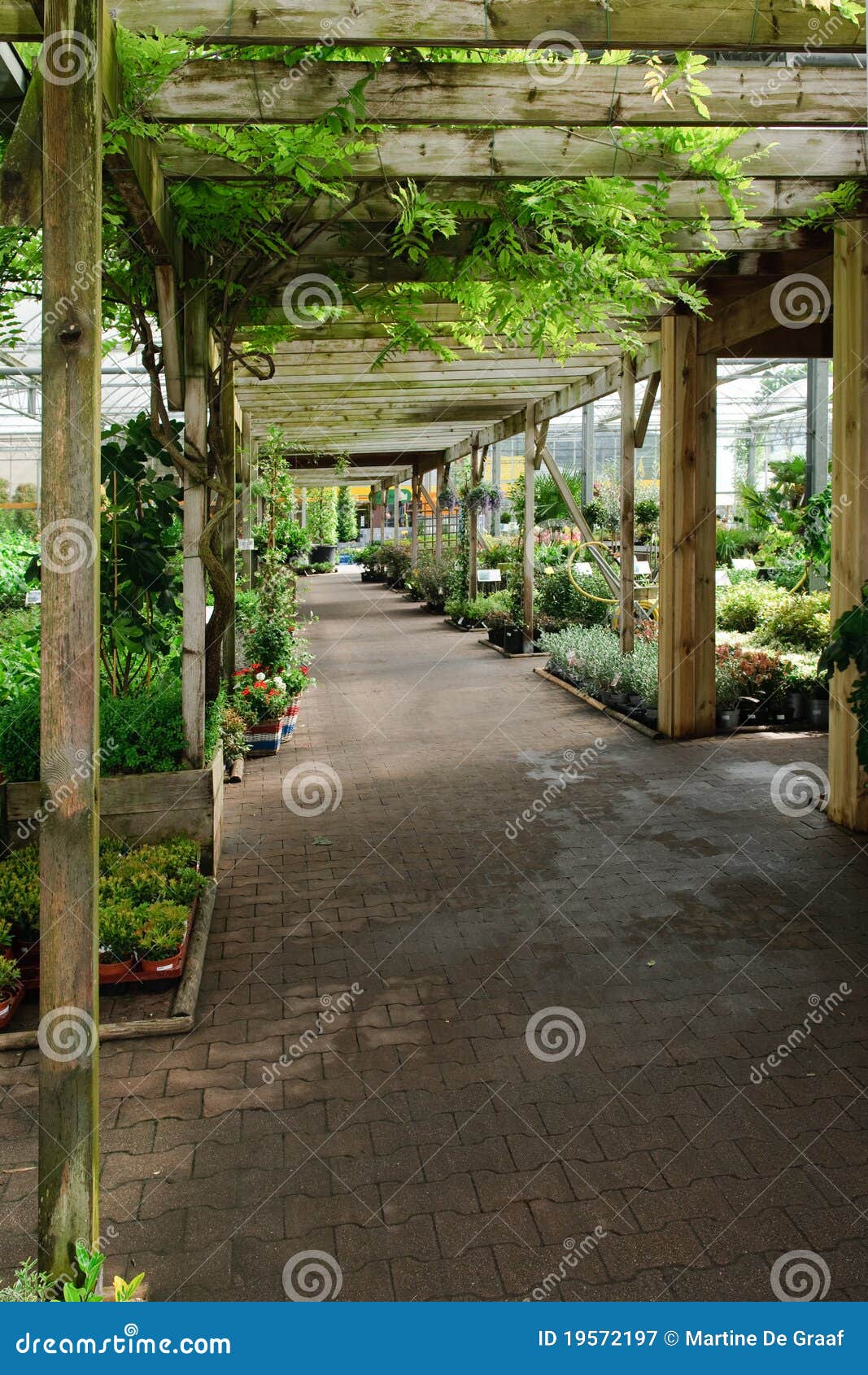 Garden store stock image. Image of shop, alley, gardening - 19572197