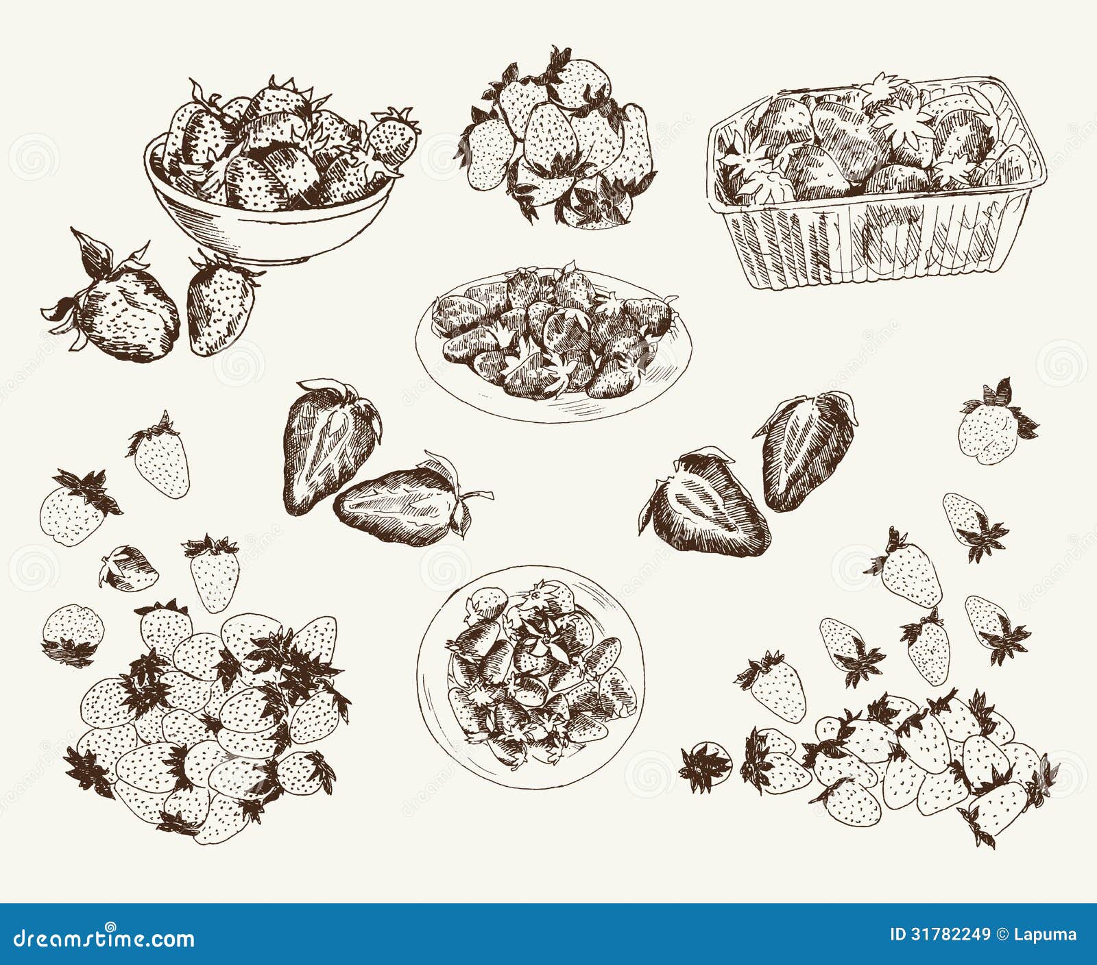 Garden strawberries stock vector. Illustration of nature - 31782249