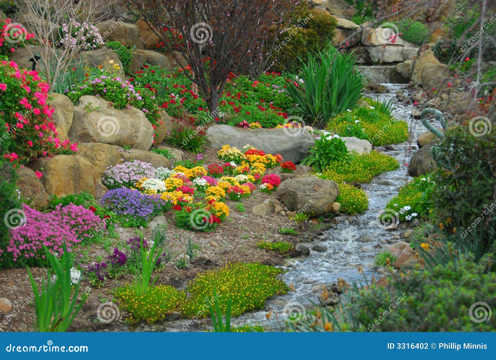 Garden Stream stock photo. Image of rock, blooms, flowers - 3316402