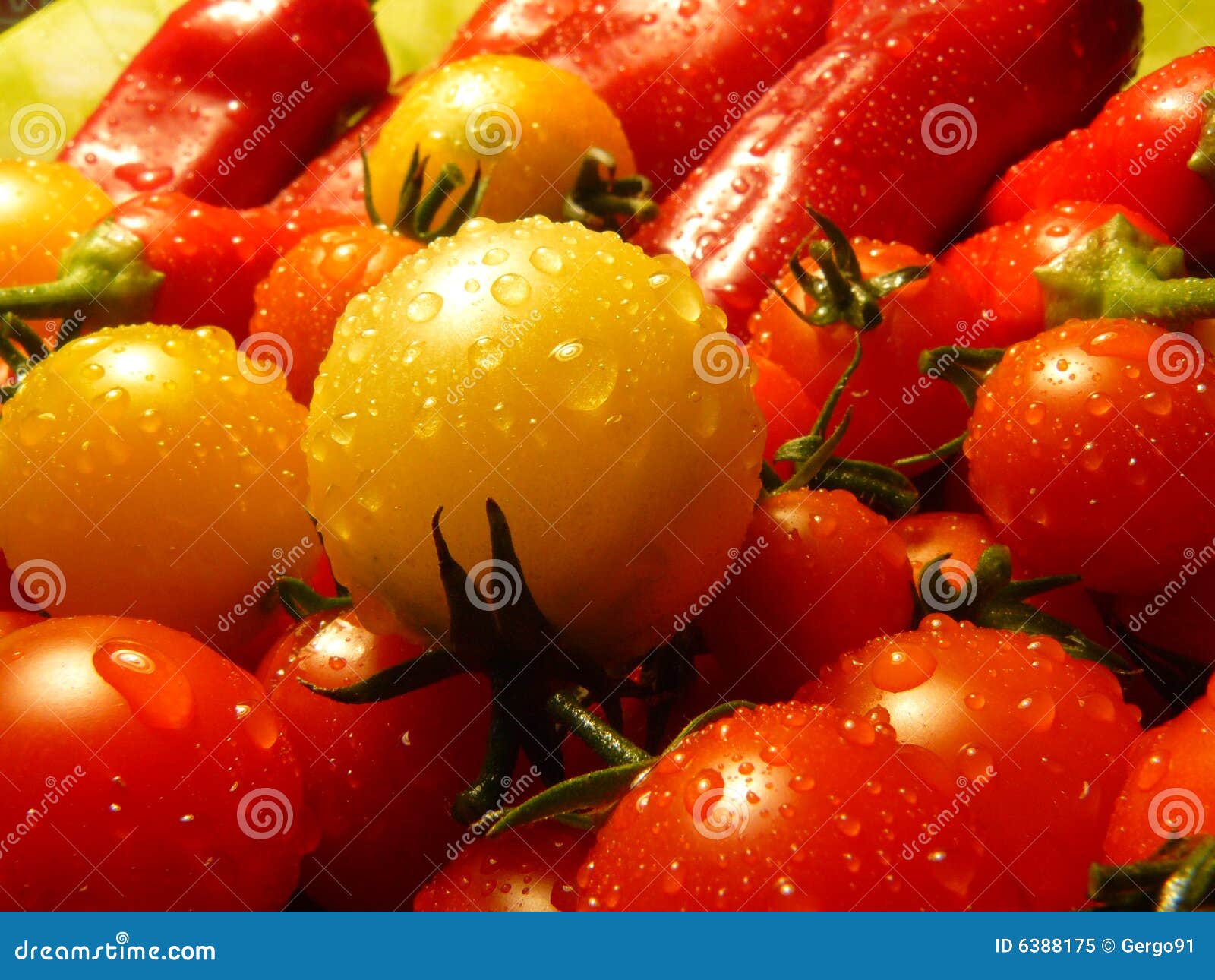 Garden stuff stock image. Image of tomatoes, plants, paprika - 6388175