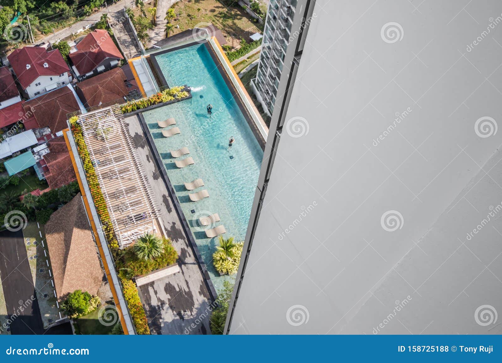 Garden and swimming pool stock photo. Image of condominium - 158725188