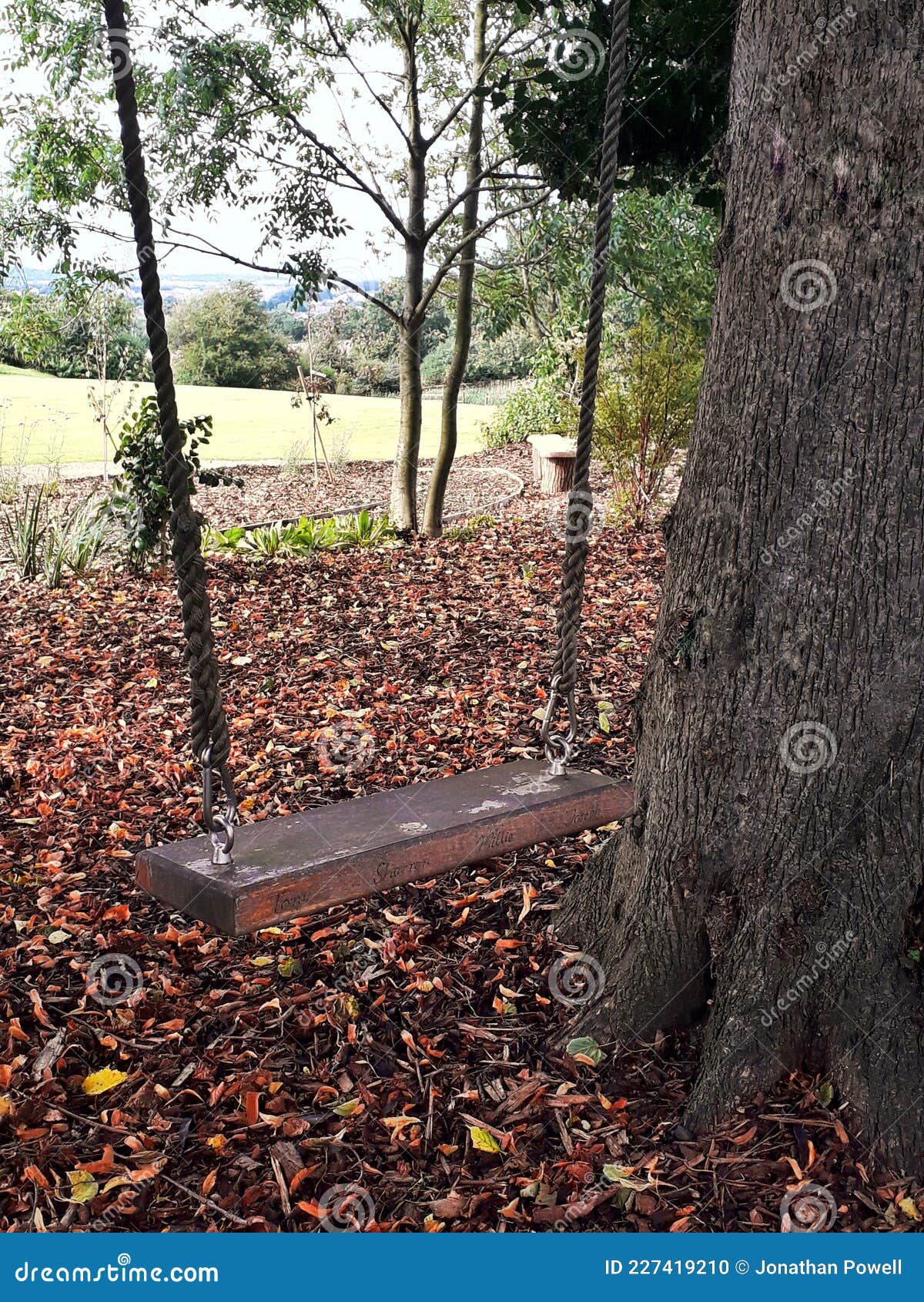 Garden Swing Hanging from a Tree with Dead Leaves on the Ground Stock ...