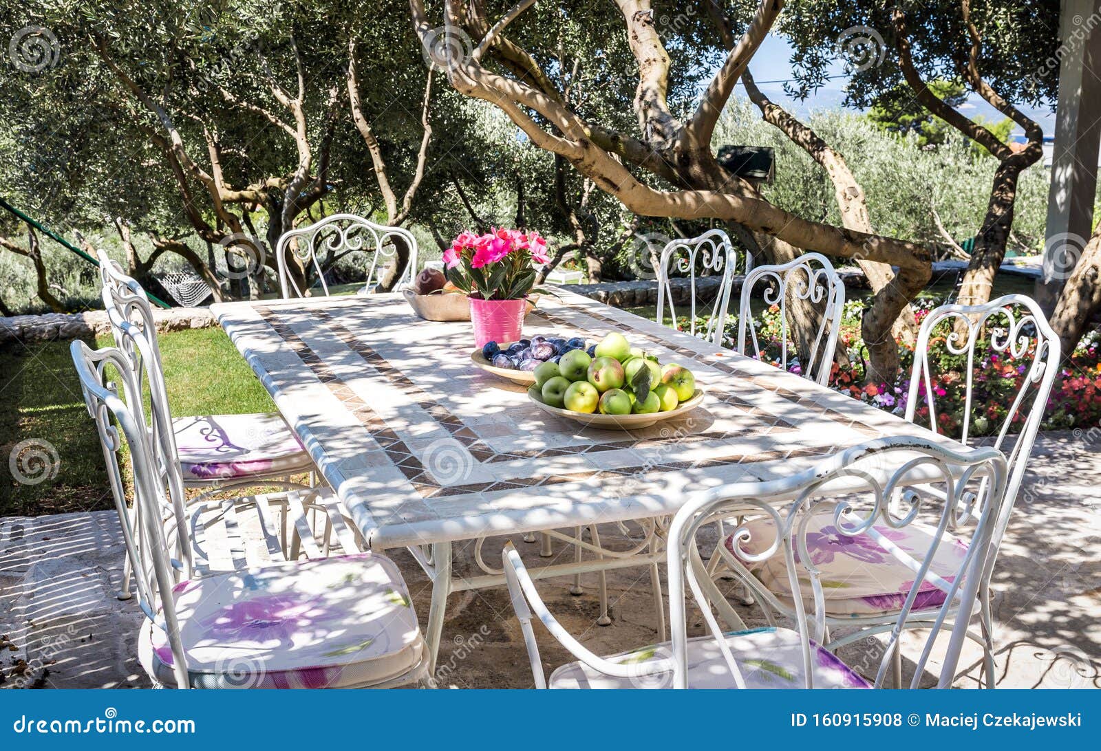 Garden table setting stock photo. Image of ferniture - 160915908