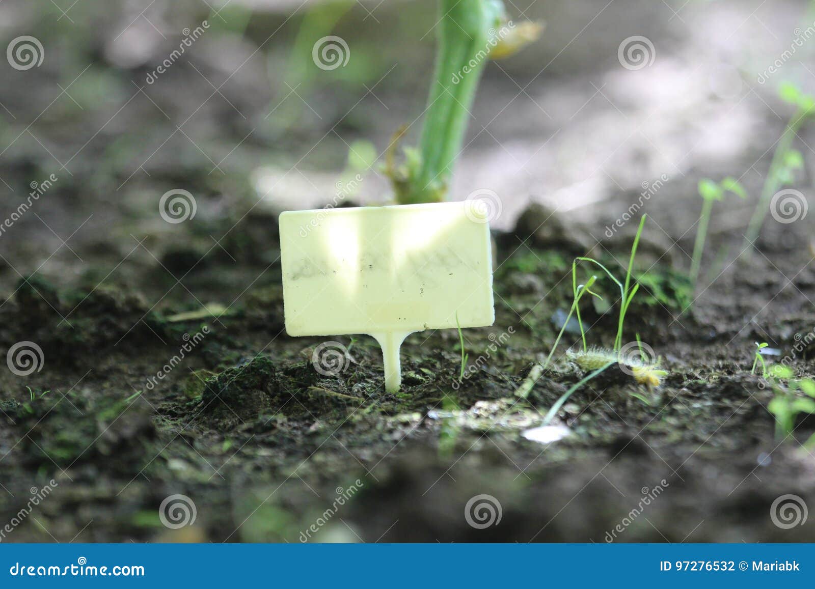 Garden tag on the ground. stock photo. Image of garden - 97276532