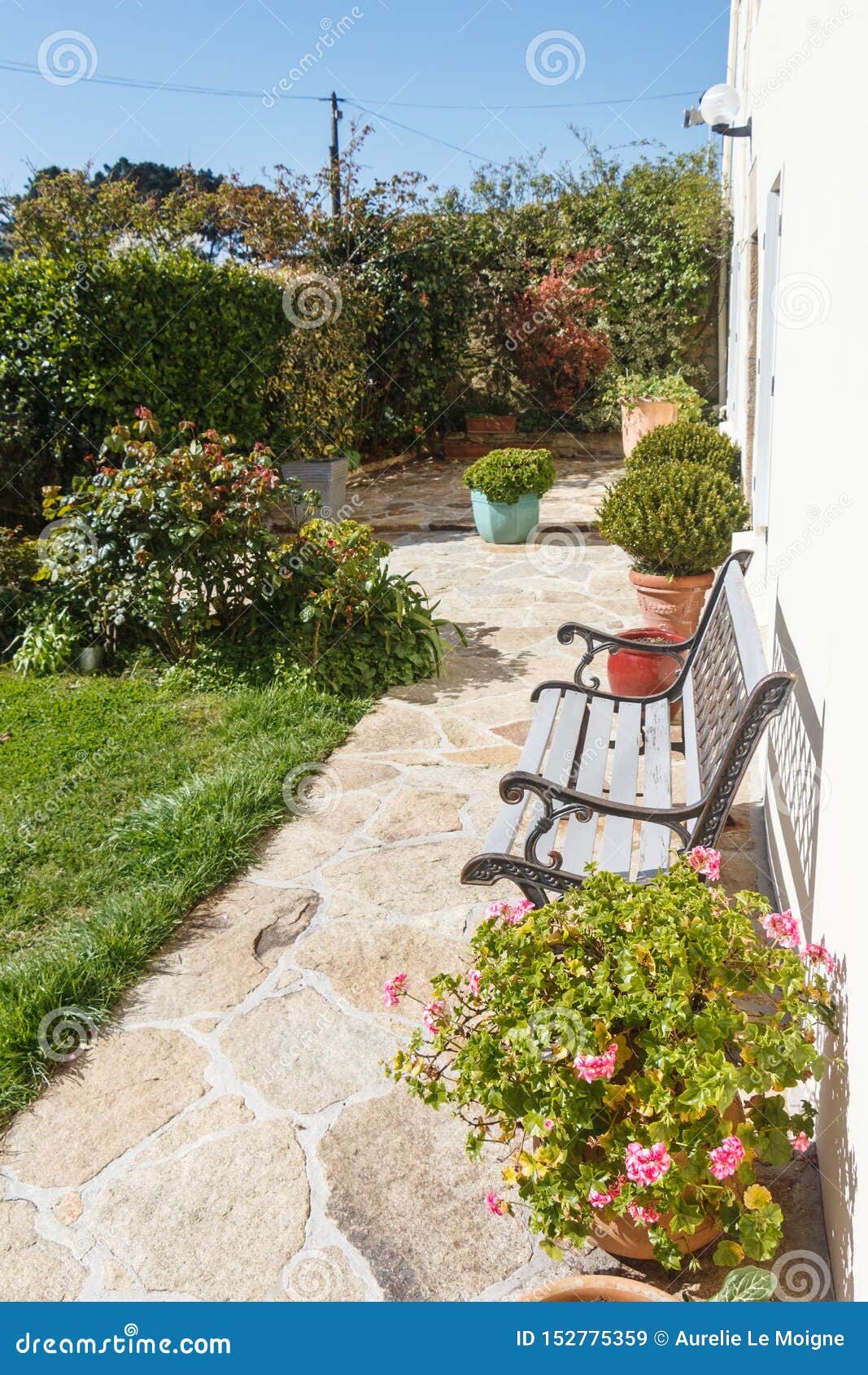 Garden with Terrace and Bench Stock Image - Image of wood, geranium ...