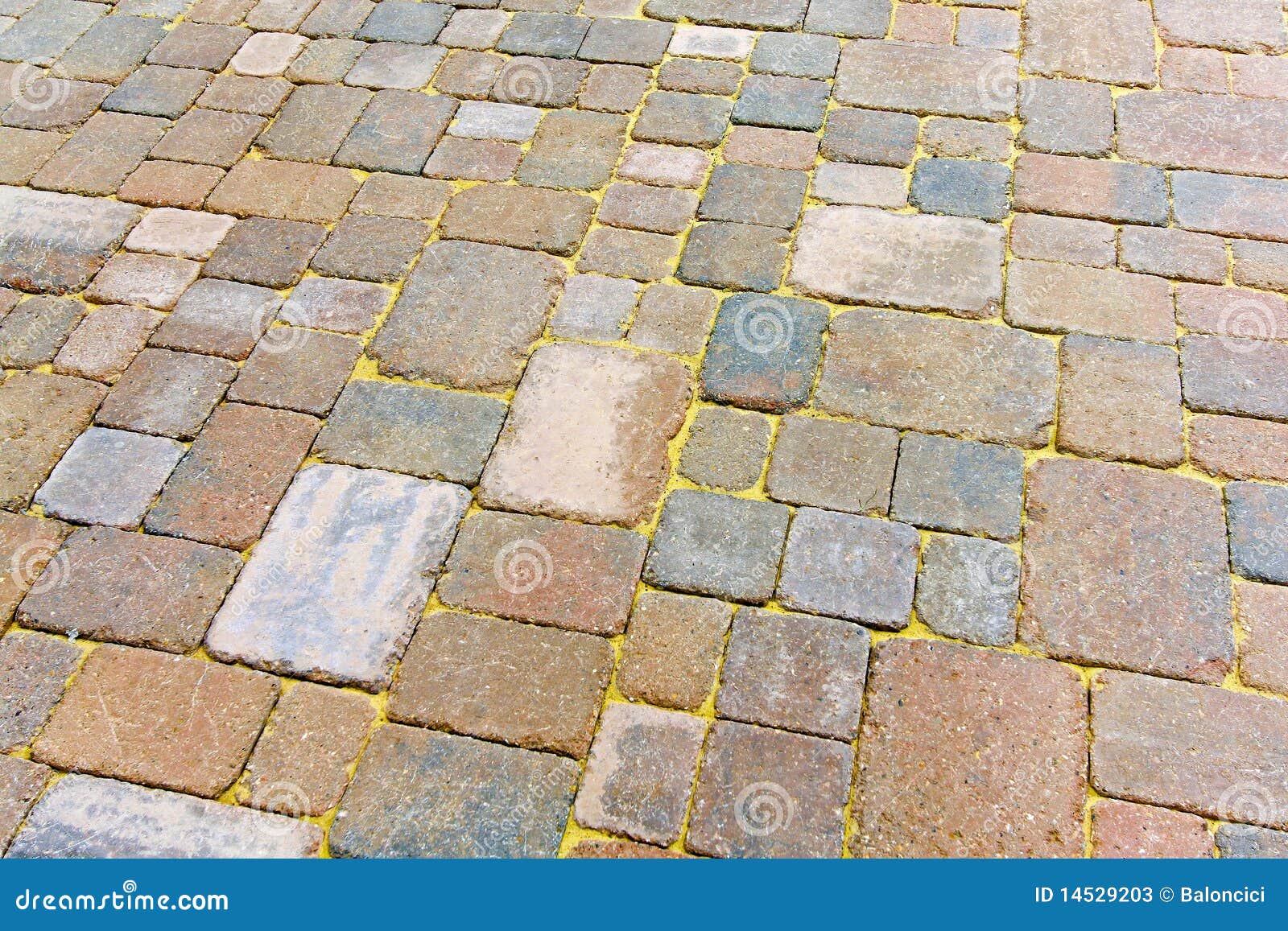 Garden texture stock image. Image of grunge, background - 14529203