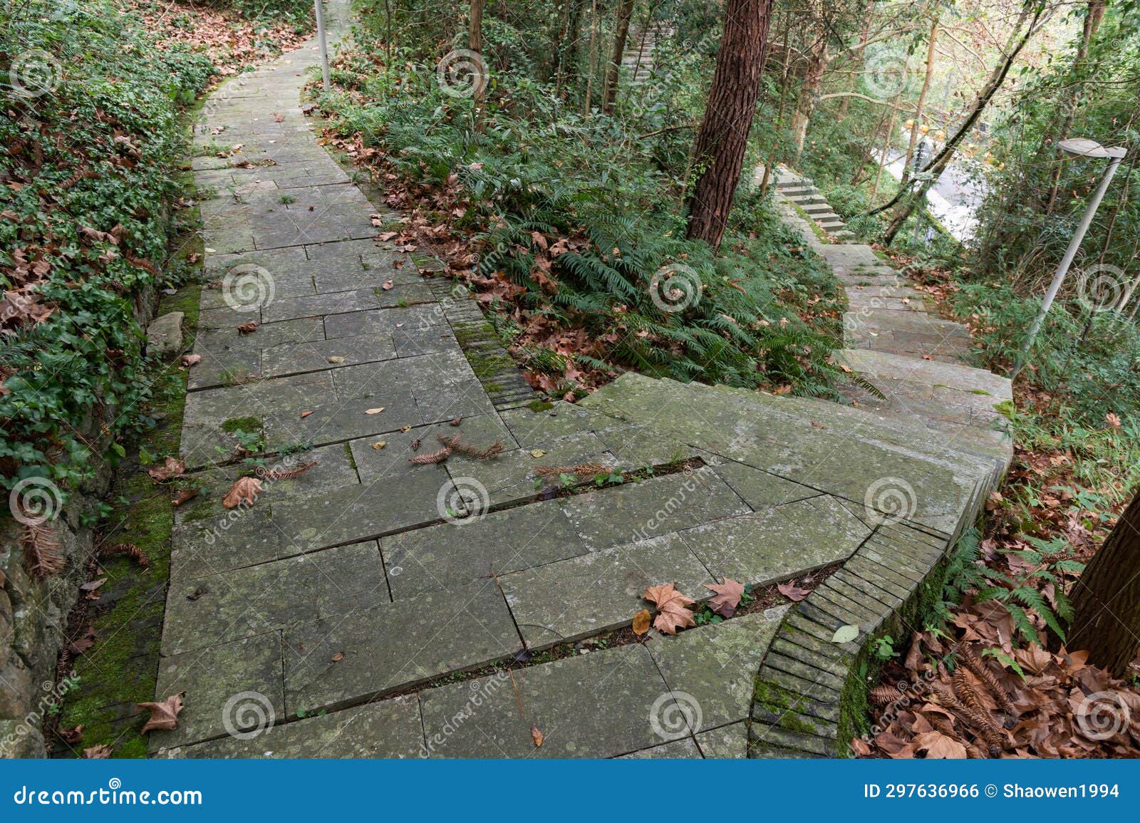 Stone Bifurcation path stock photo. Image of path, bifurcation - 297636966