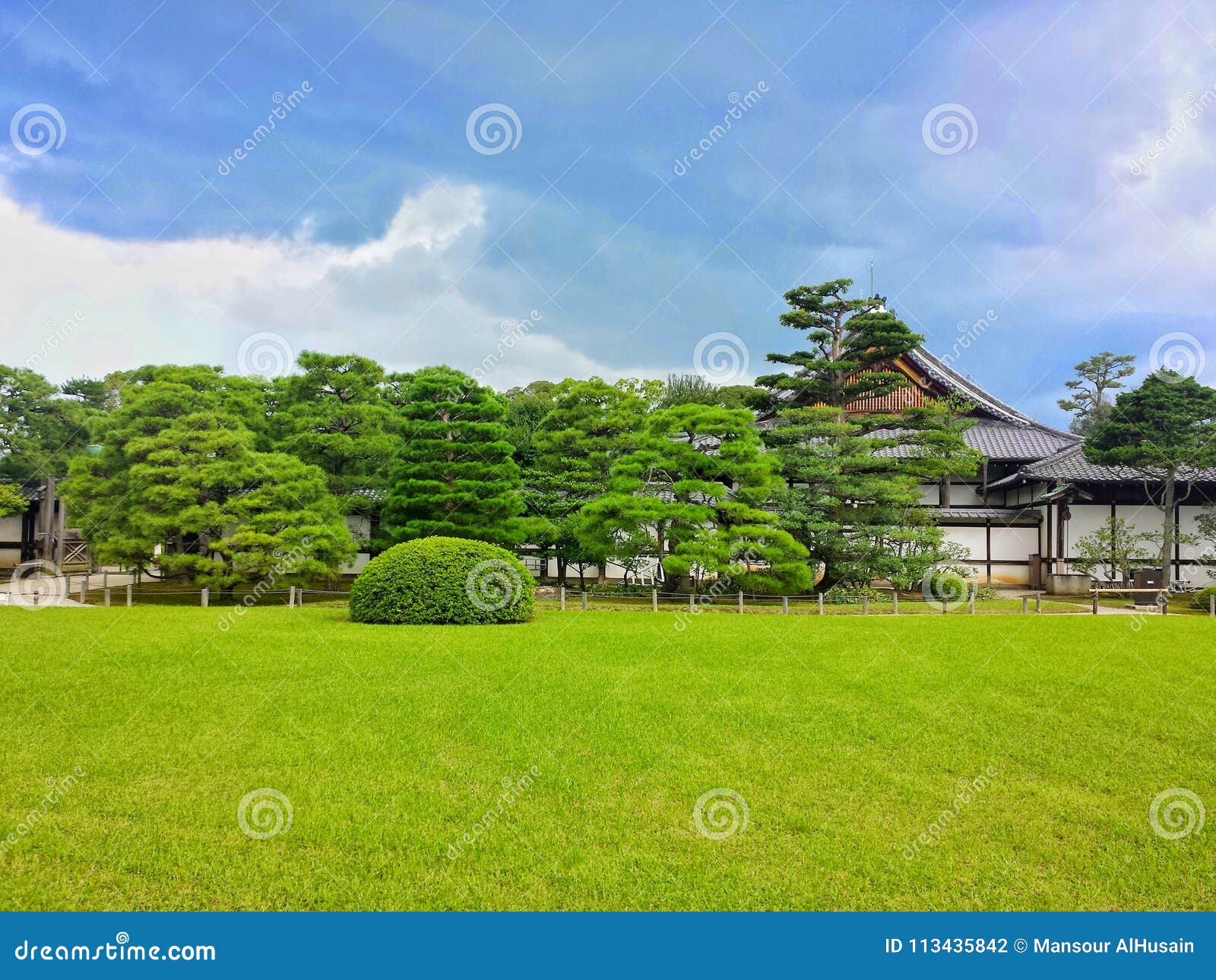 Tokyo castle stock photo. Image of castle, japan, garden - 113435842