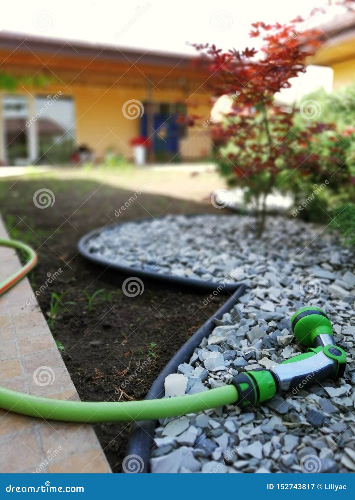 Garden Tool for Watering and Care Stock Image - Image of background ...