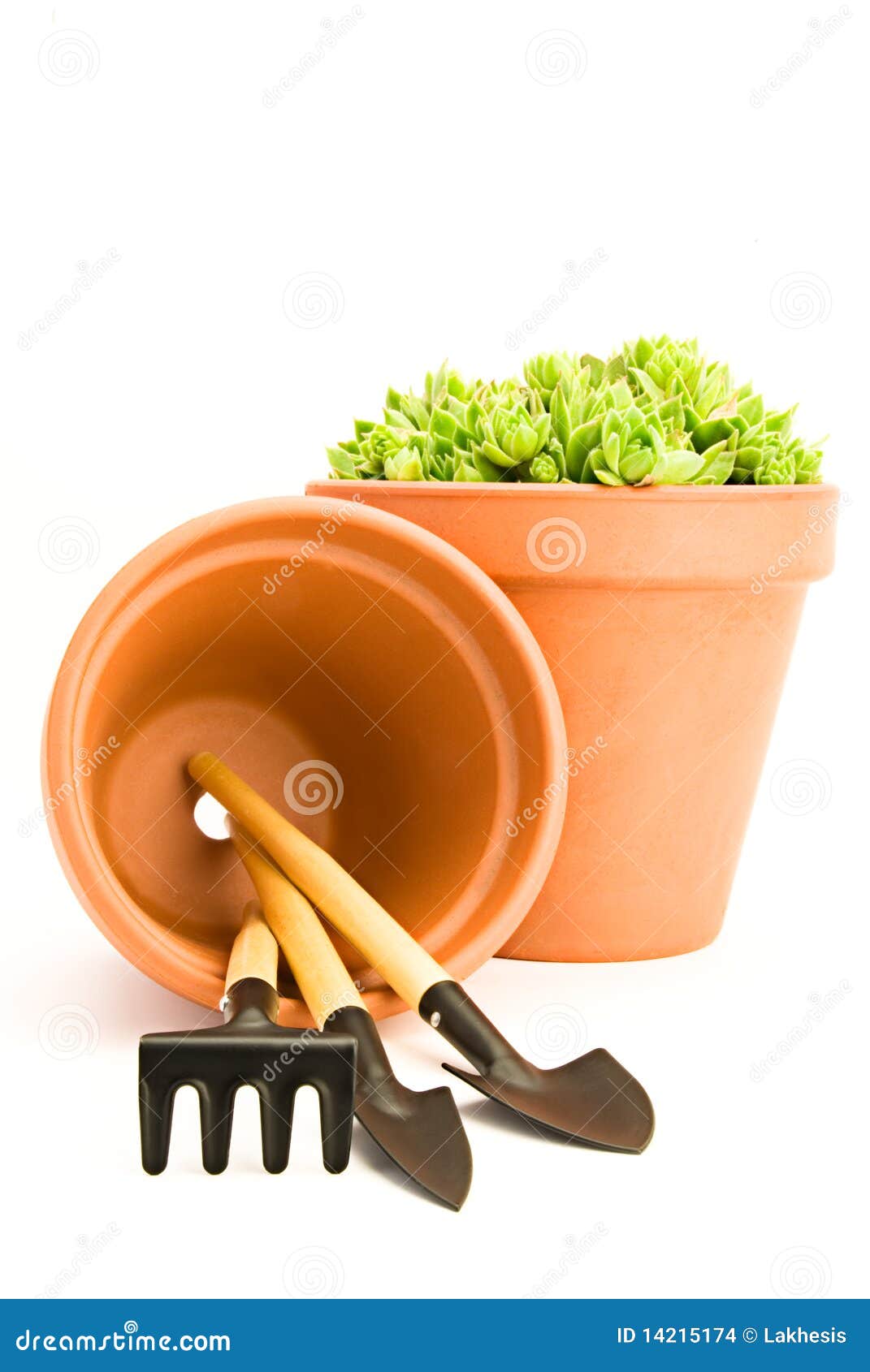 Garden tools stock photo. Image of collection, bouquet - 14215174