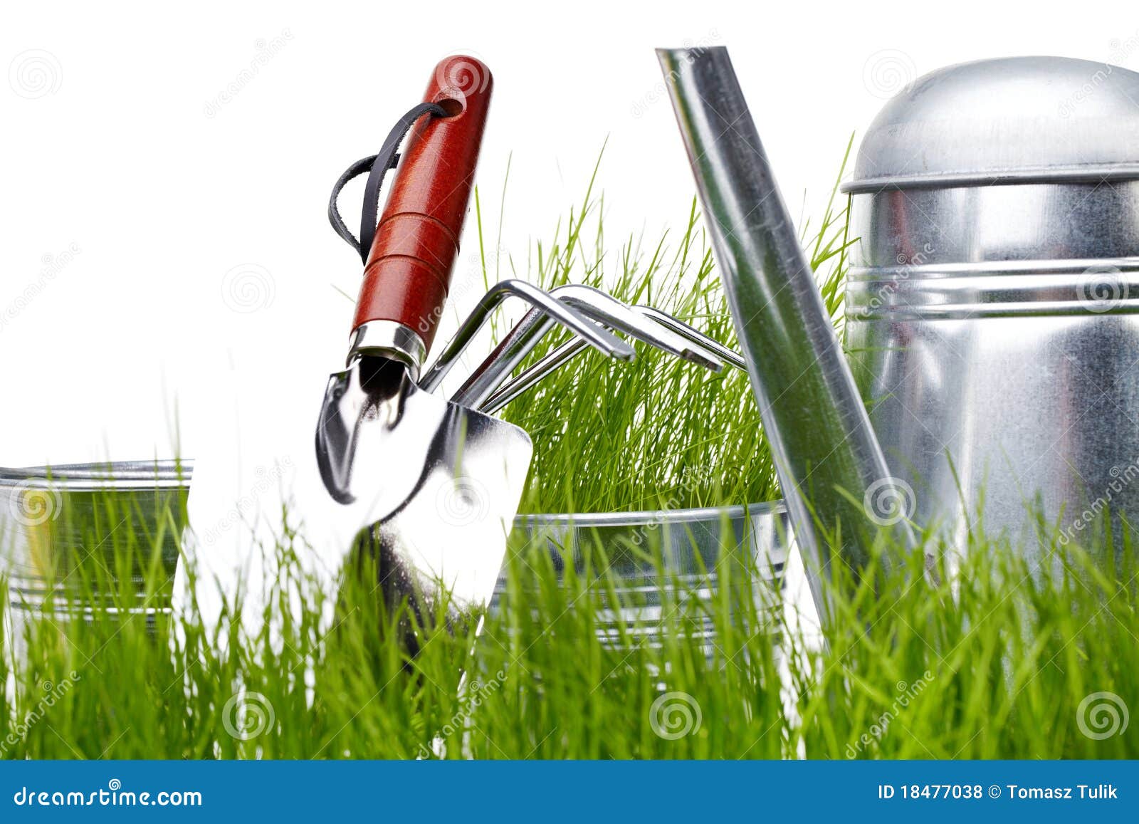 Garden tools stock photo. Image of plant, healthy, background - 18477038
