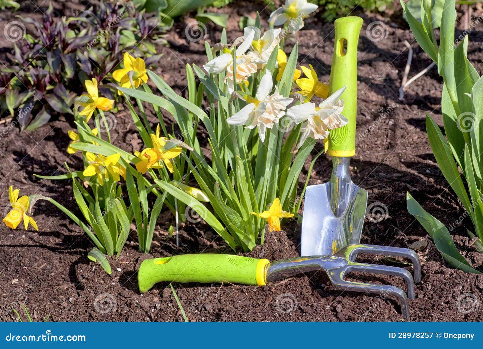 Garden Tools stock image. Image of fall, springtime, empty - 28978257