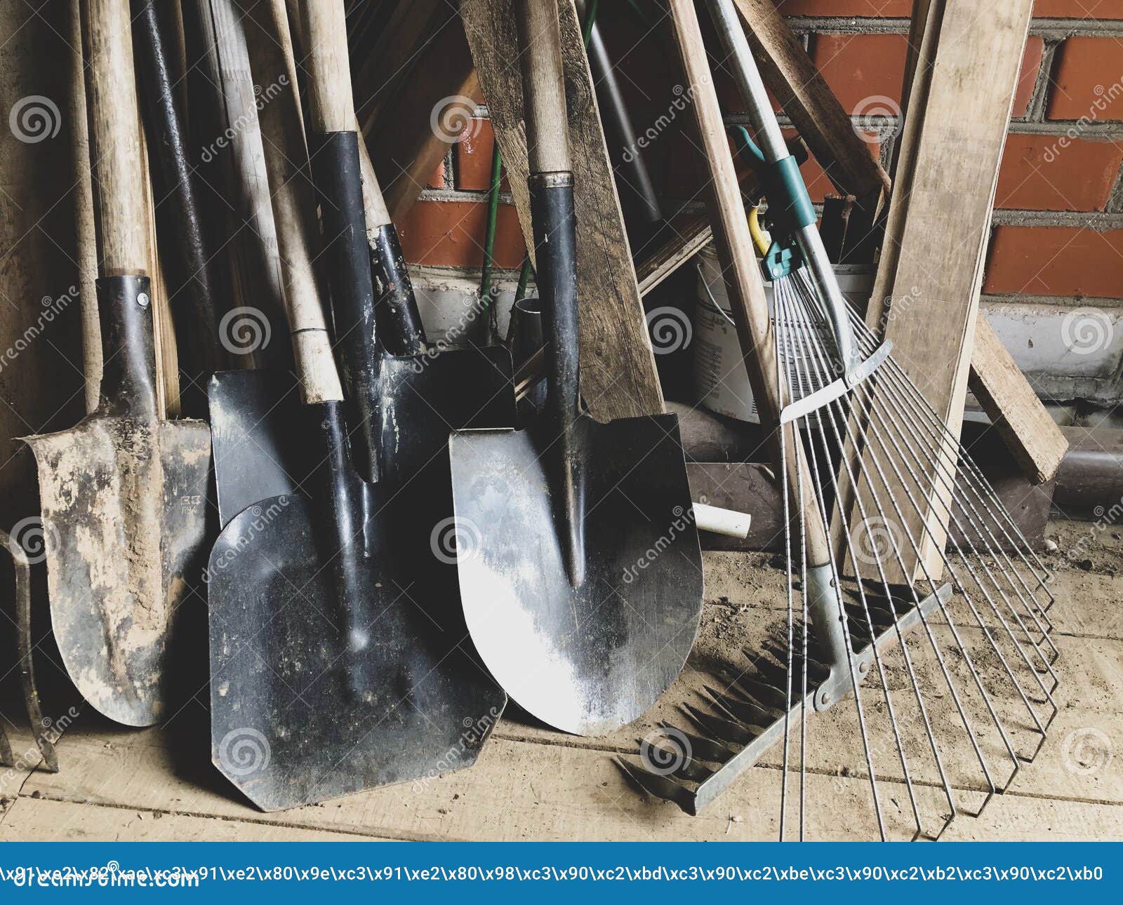 Garden Tools in the Barn, Shovels, Rakes. Stock Photo - Image of rake ...