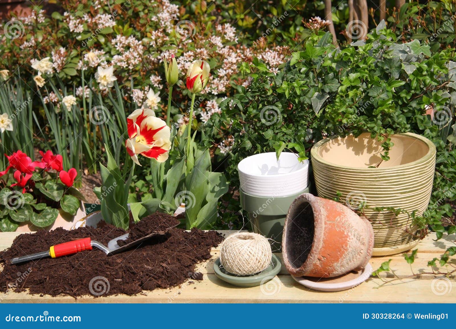 Garden tools stock photo. Image of nature, tool, summer - 30328264