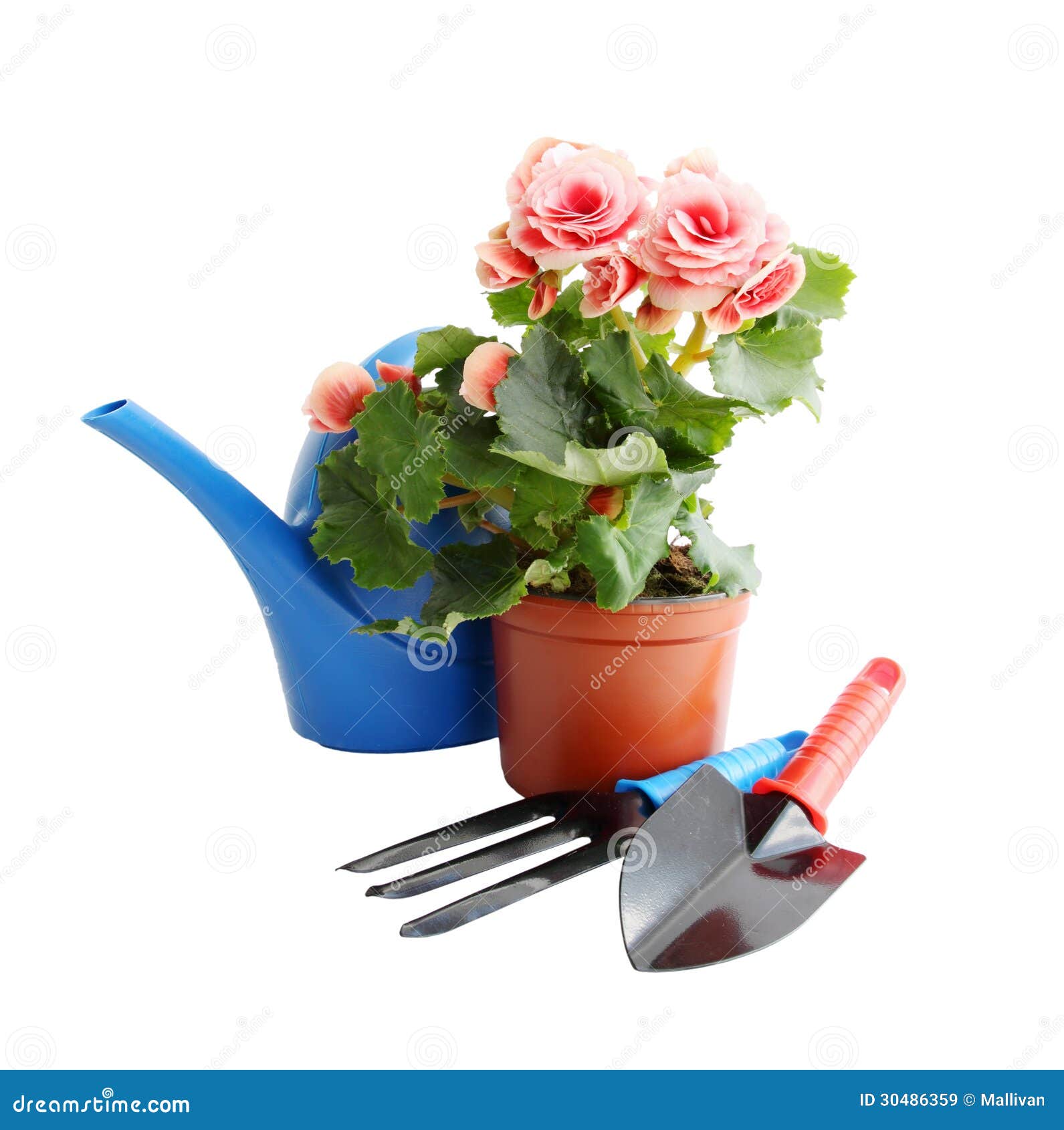 Garden tools stock image. Image of nature, life, ornamental - 30486359