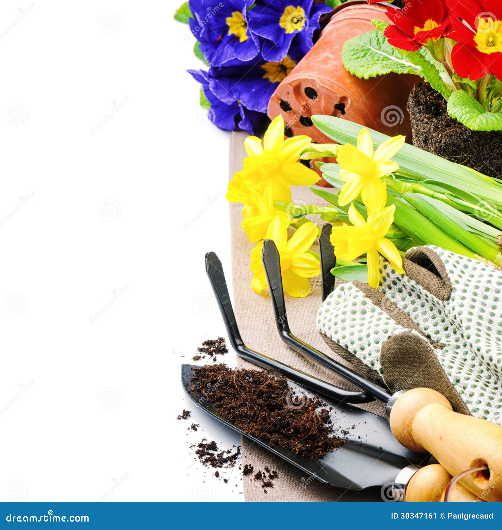 Garden Tools and Colorful Flowers Stock Image - Image of nature ...