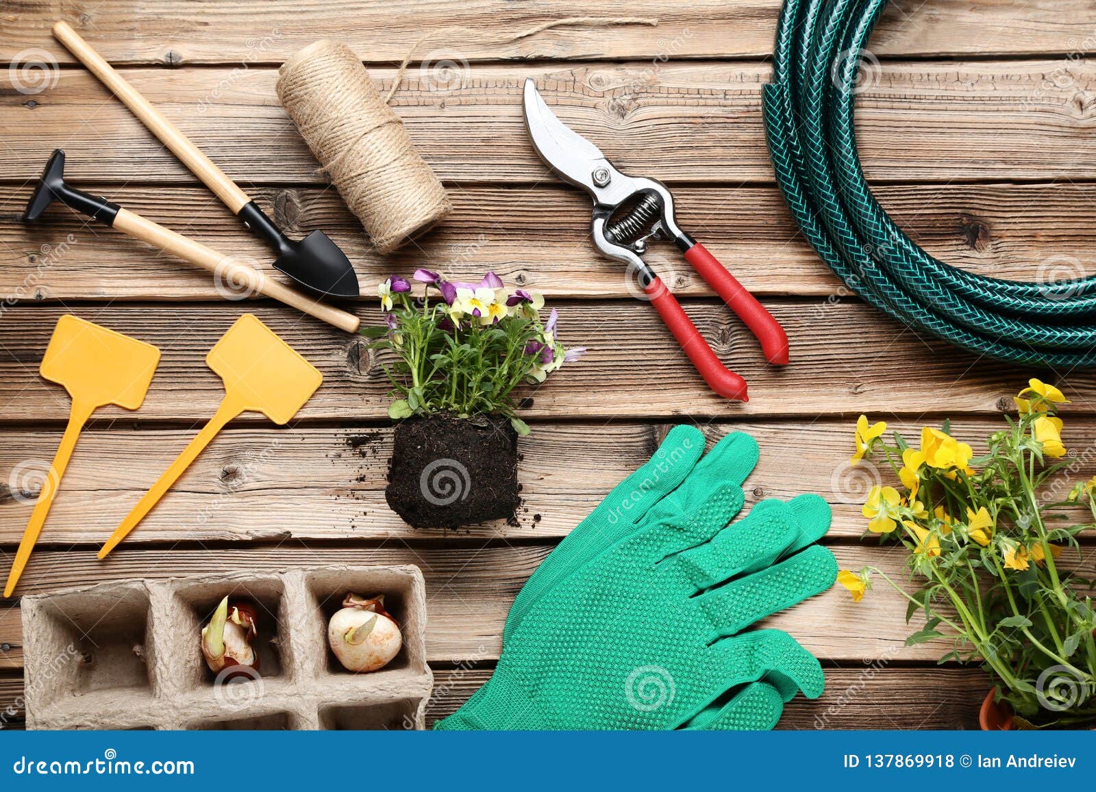 Garden tools with flowers stock photo. Image of blossom - 137869918