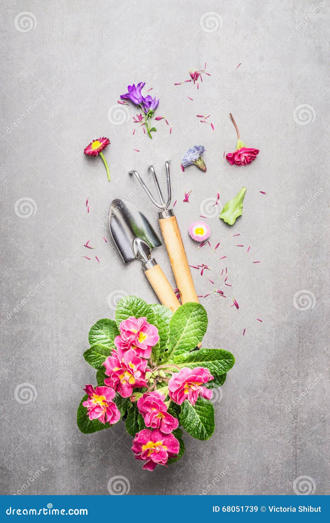 Garden Tools with Flowers on Gray Stone Concrete Background, Top View ...