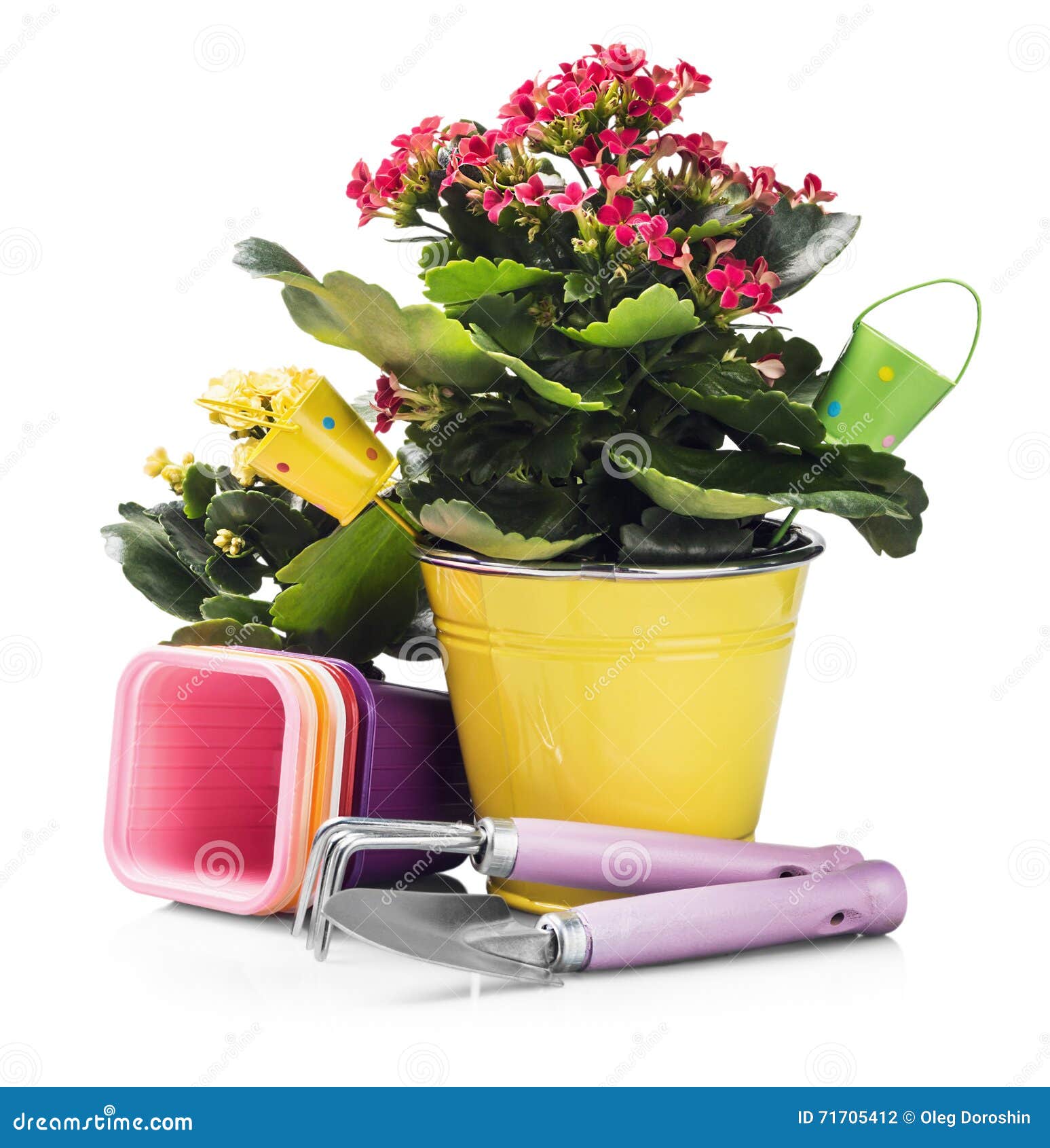 Garden Tools with Flowers Isolated on White Stock Photo - Image of ...