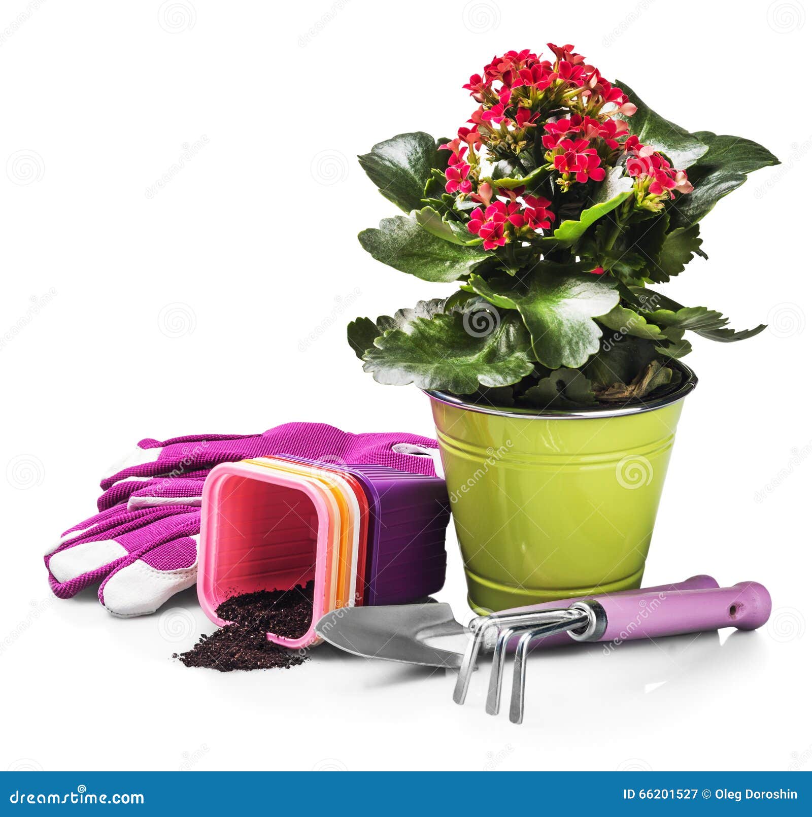 Garden Tools with Flowers Isolated on White Stock Image - Image of ...