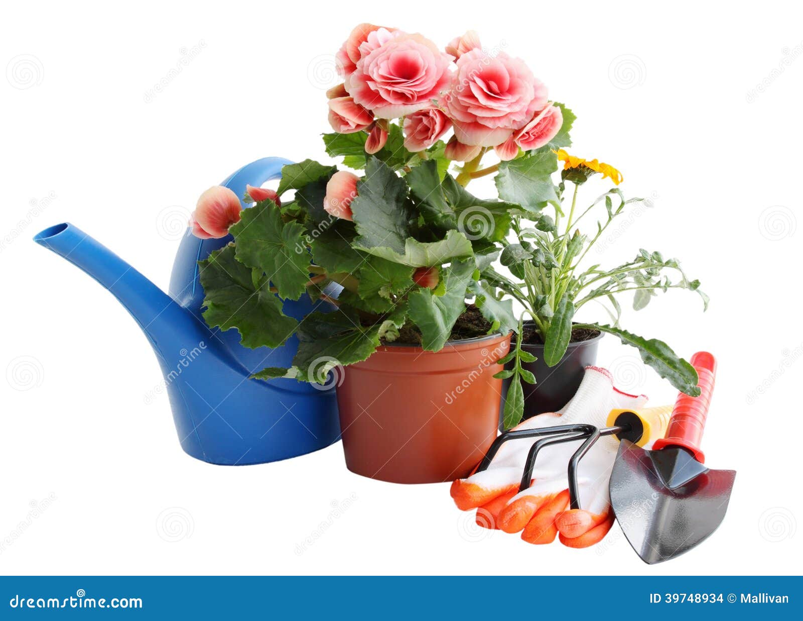 Garden tools and flowers stock photo. Image of objects - 39748934