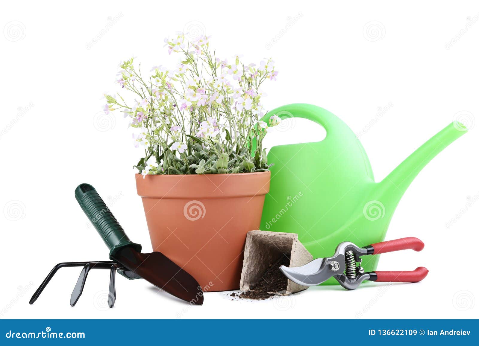 Garden tools with flowers stock image. Image of closeup - 136622109