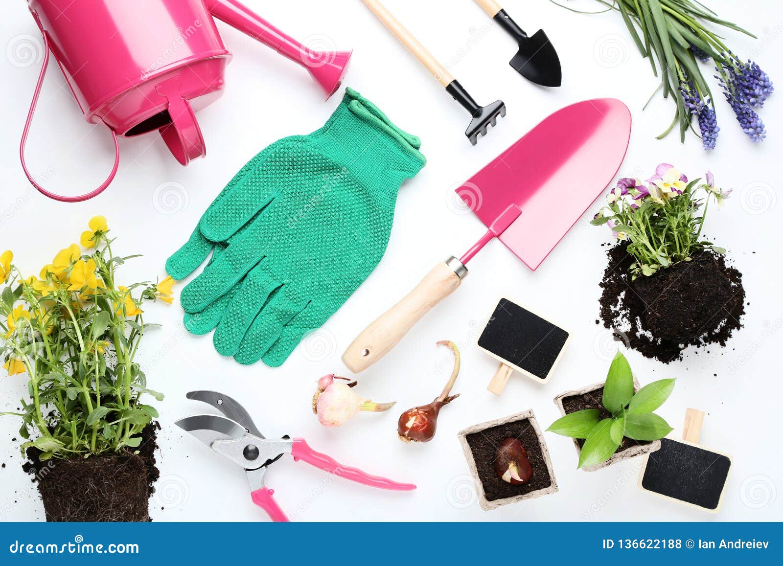Garden tools with flowers stock photo. Image of flowers - 136622188