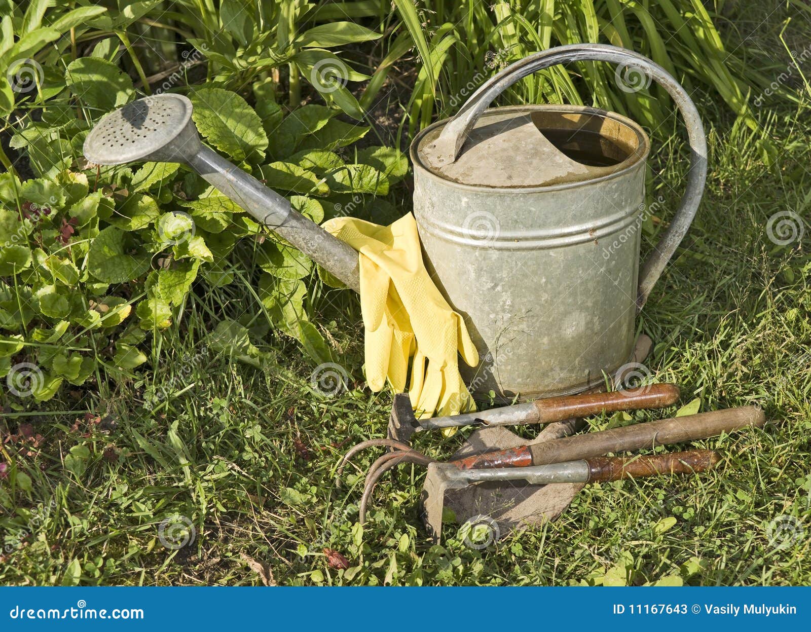 Garden tools on the ground stock image. Image of tiller - 11167643