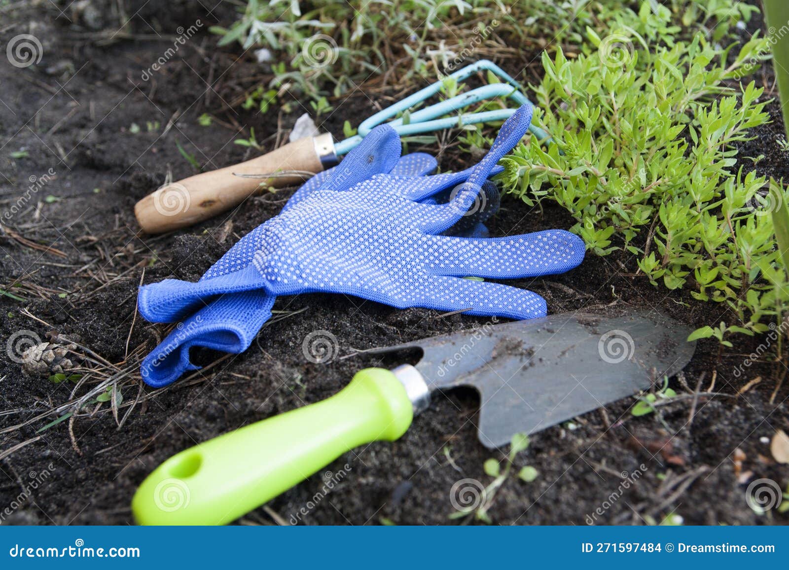 Garden Tools and Fabric Gloves on the Ground Near Plants. Spring ...