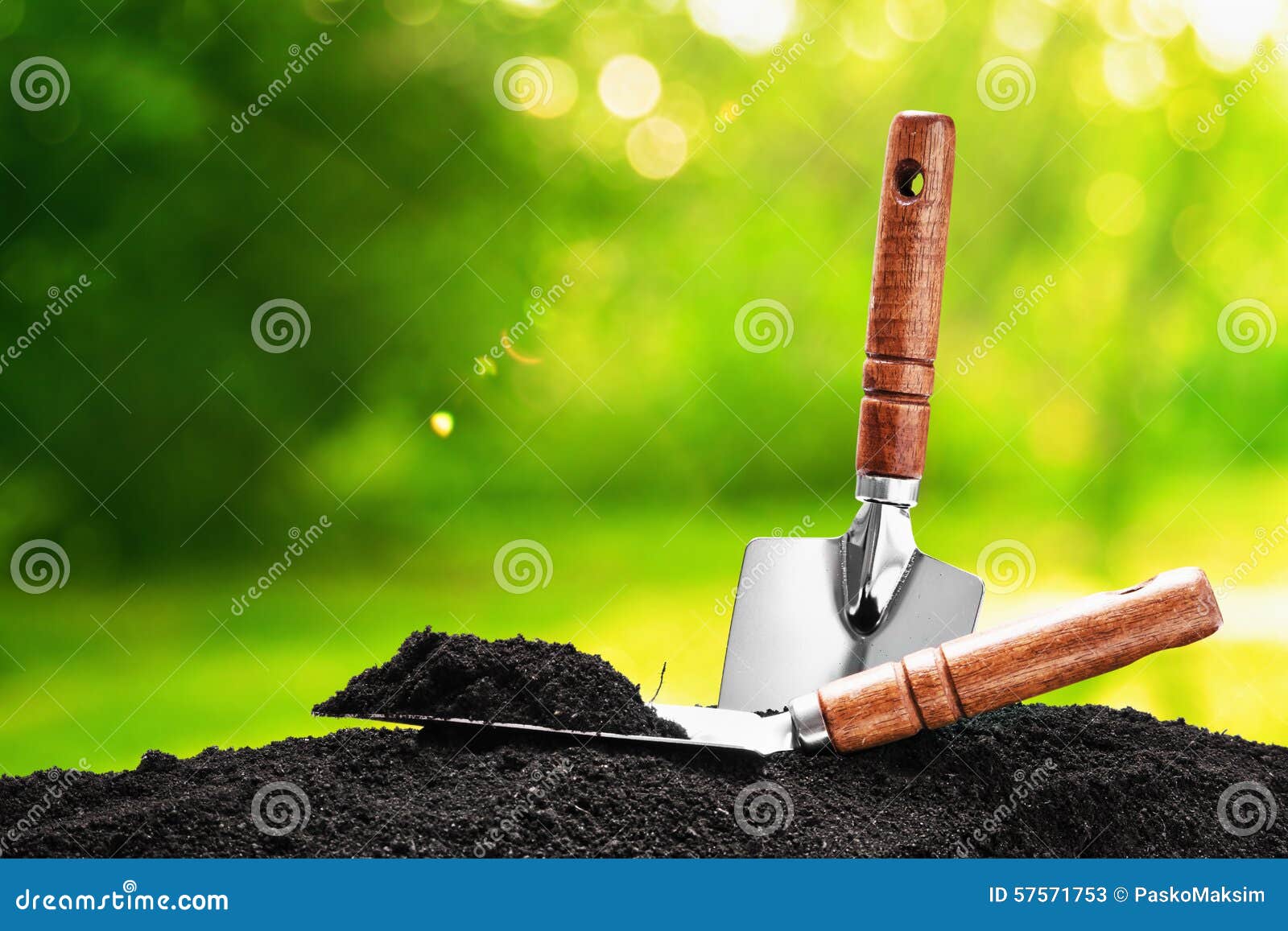 Garden tools stock image. Image of growth, housekeeping - 57571753