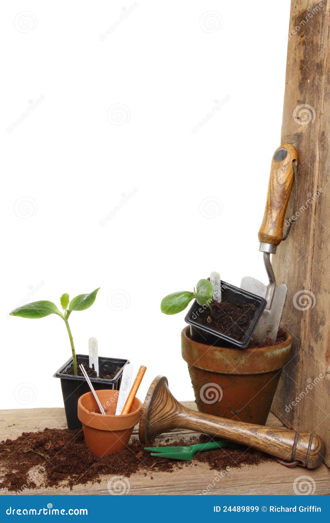 Garden tools and plants stock image. Image of background - 24489899