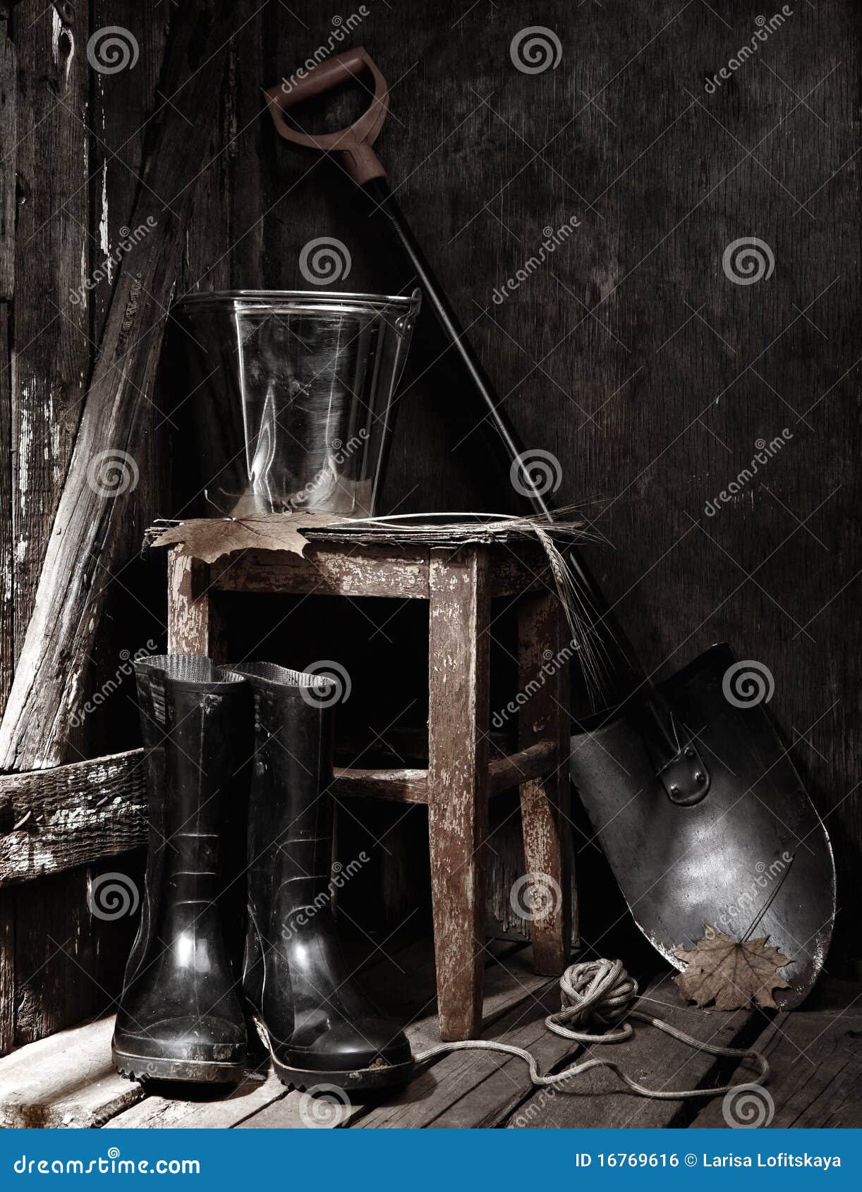 Garden tools in shed stock photo. Image of background - 16769616