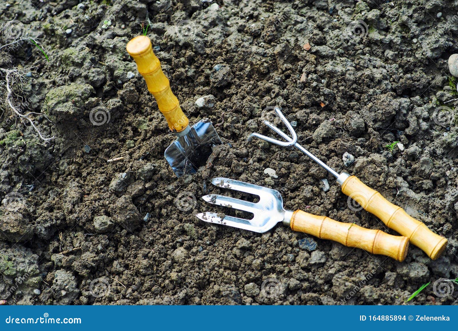 Garden Tools on Soil stock photo. Image of gardener - 164885894
