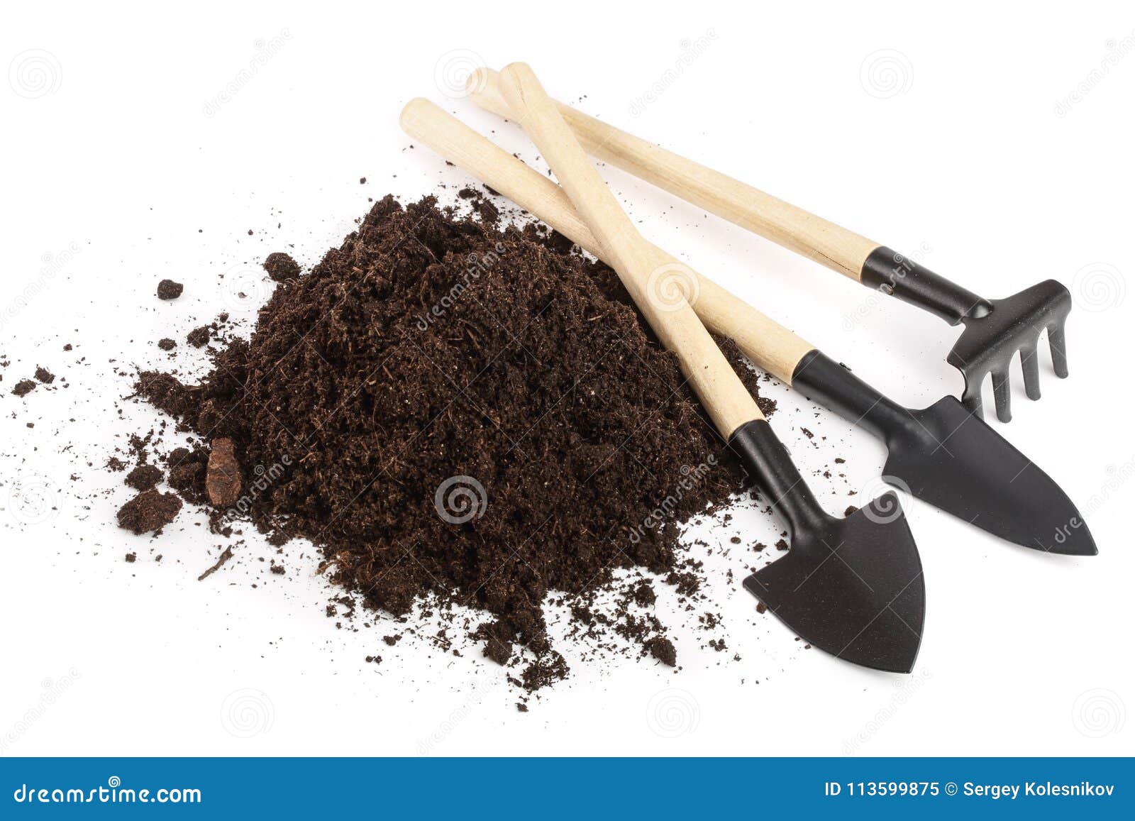 Garden Tools in Soil Isolated on White Background Stock Image - Image ...