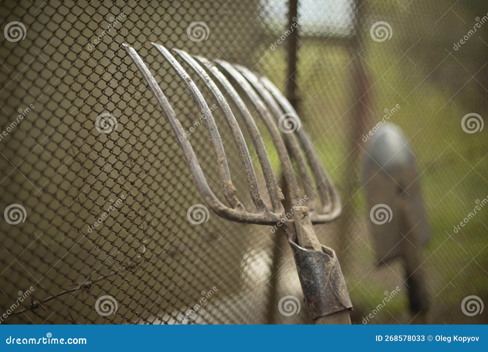 Garden Tools. Steel Rake is Leaned Against Mesh Fence Stock Image ...